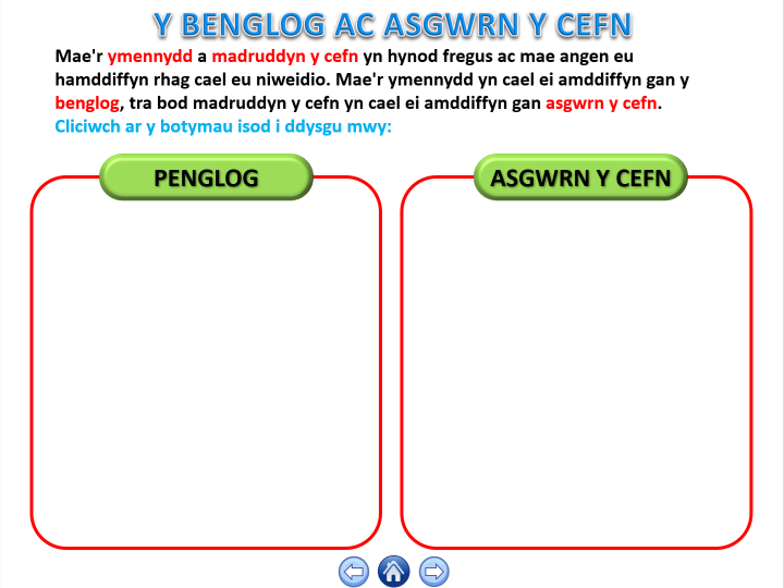 4.5.1 Y SYSTEM NERFOL2